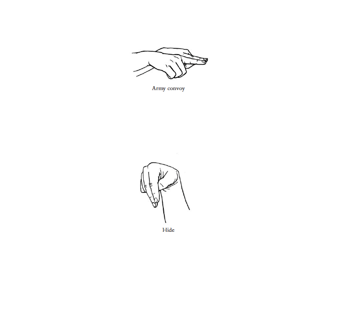 Translations of an Invented Sign Language: Excerpts from Ilya Kaminsky ...